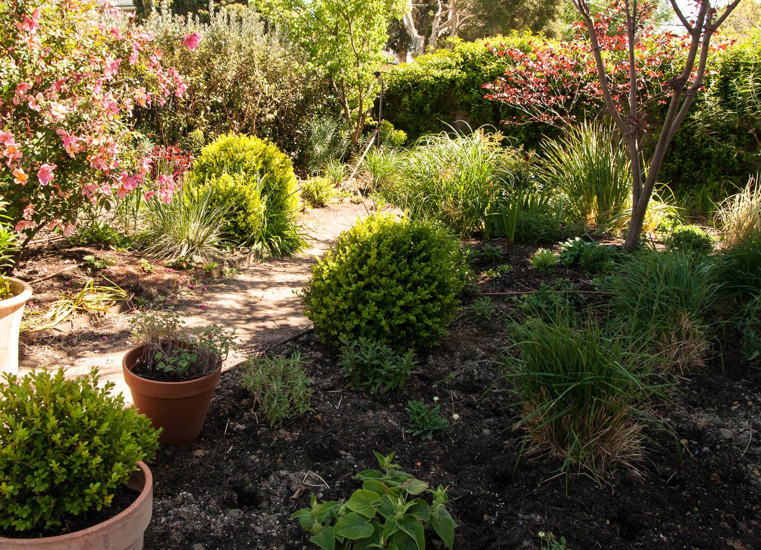 home, spring – Daily Gardener